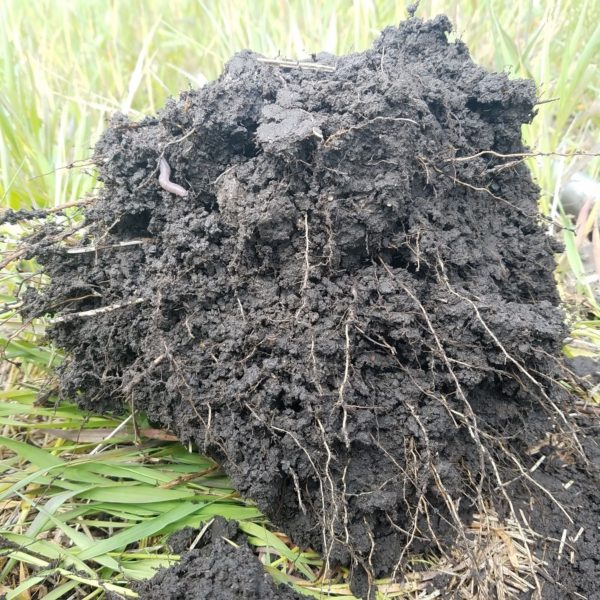 Technical Information - MN Soil Health Coalition